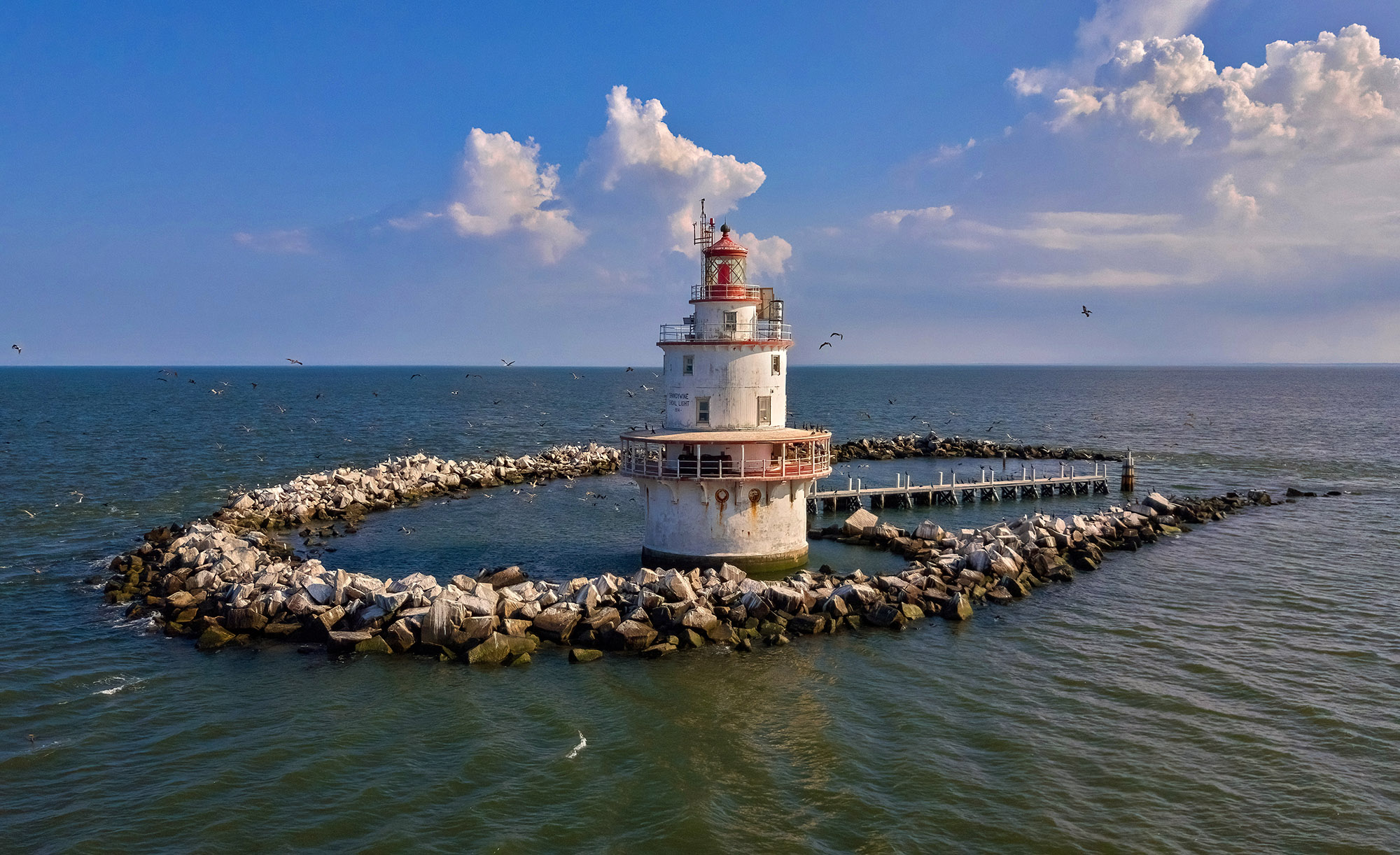 Lighthouses of Delaware Bay - The Cape May Whale Watcher
