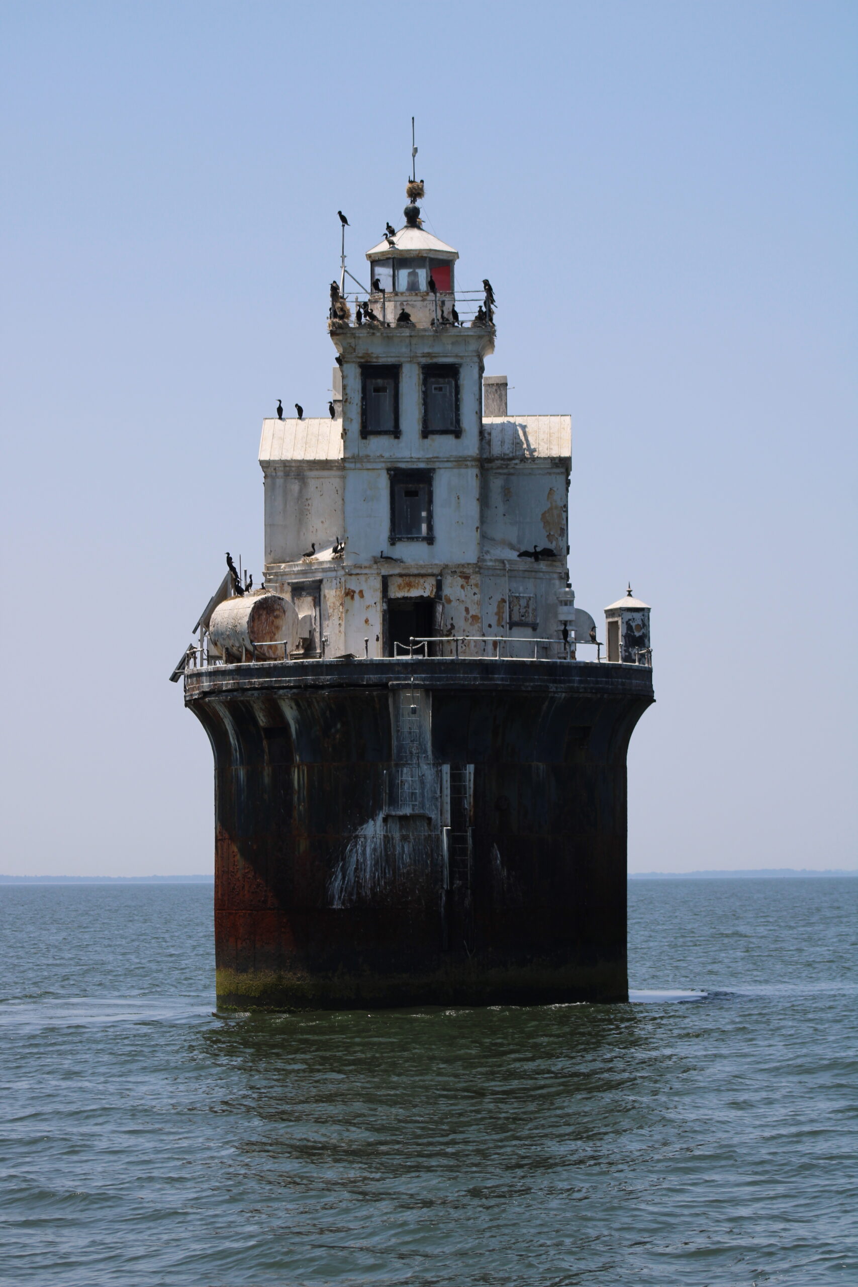 Lighthouses of Delaware Bay - The Cape May Whale Watcher