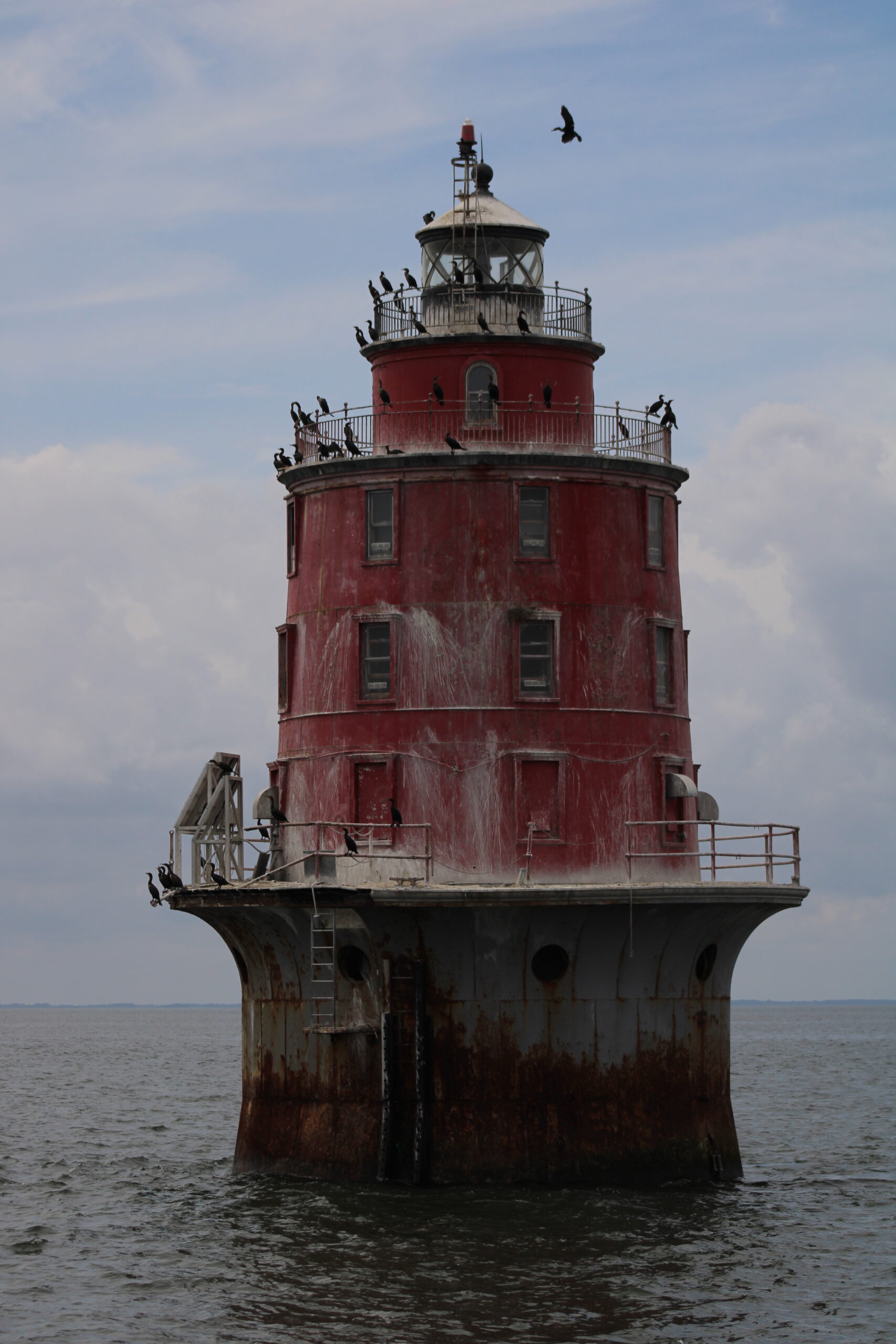 Lighthouses of Delaware Bay - The Cape May Whale Watcher